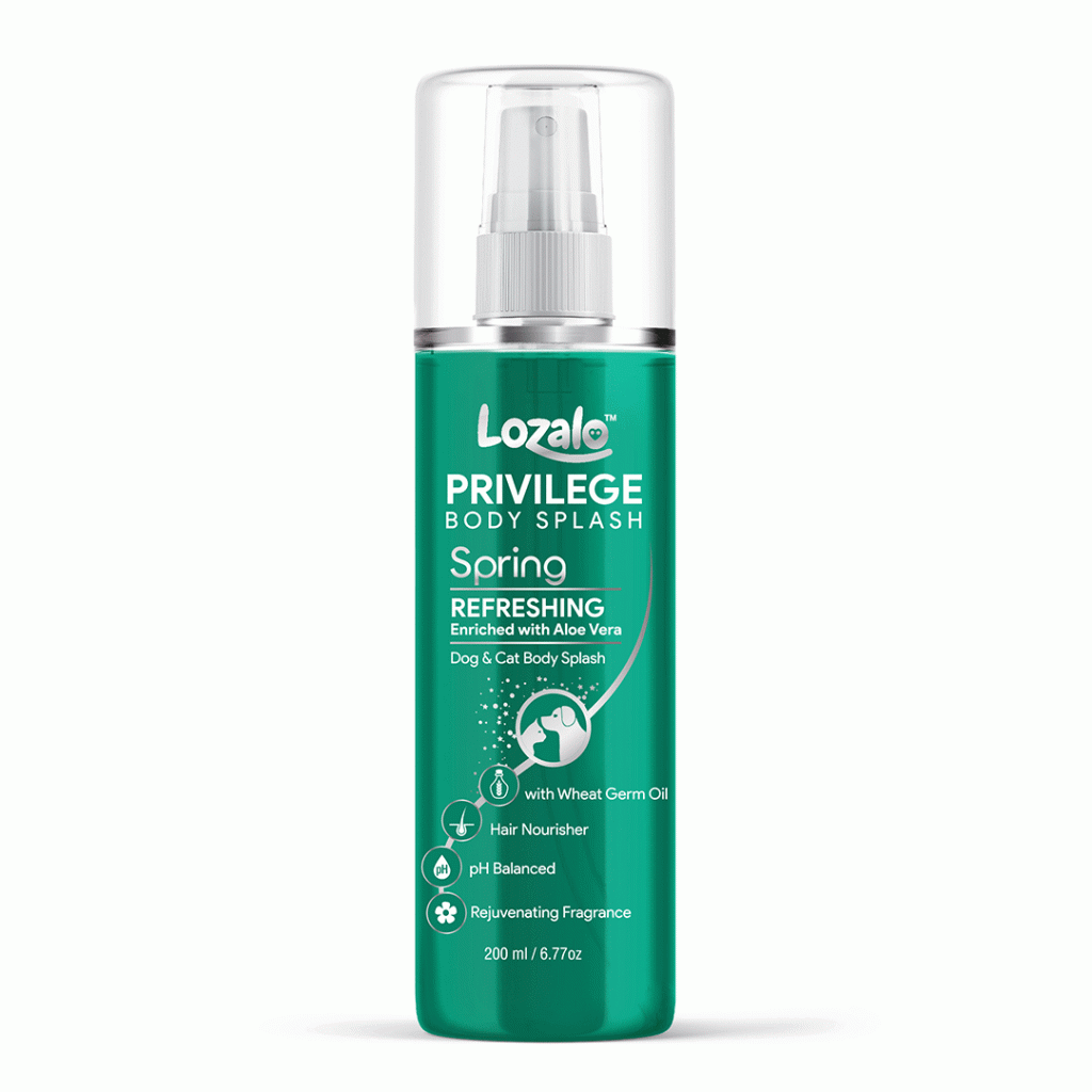 Privilege Body Splash